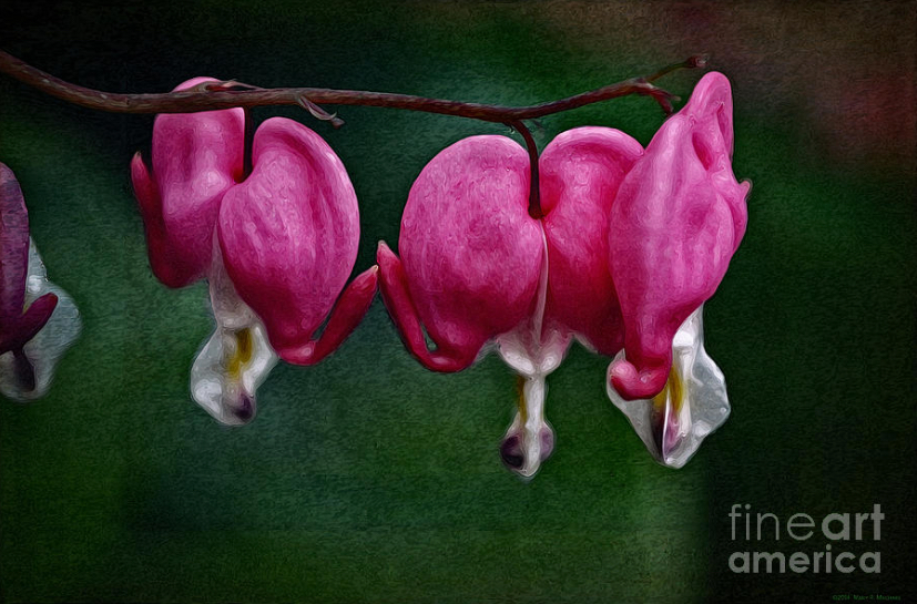 Find Your Heart | The Machare Art Blog